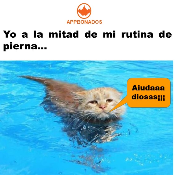 Meme: Pidiendo ayuda – Appbonados