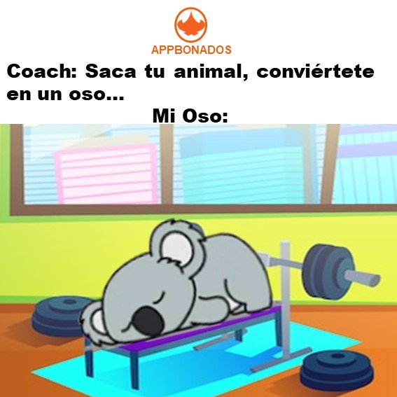 Meme: oso – Appbonados